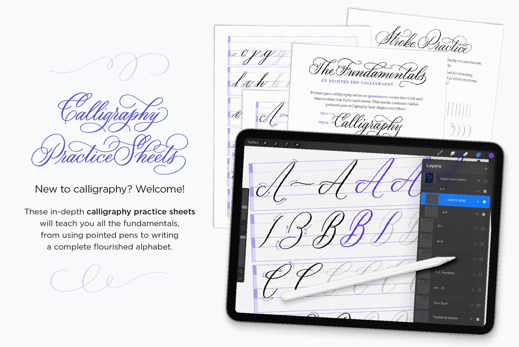 Calligraphy Shop | Practice Sheets, Procreate Brushes, Fonts