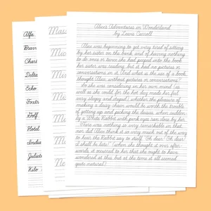 Modern Cursive Handwriting: Step-by-Step Guide and Workbook for Adults ...