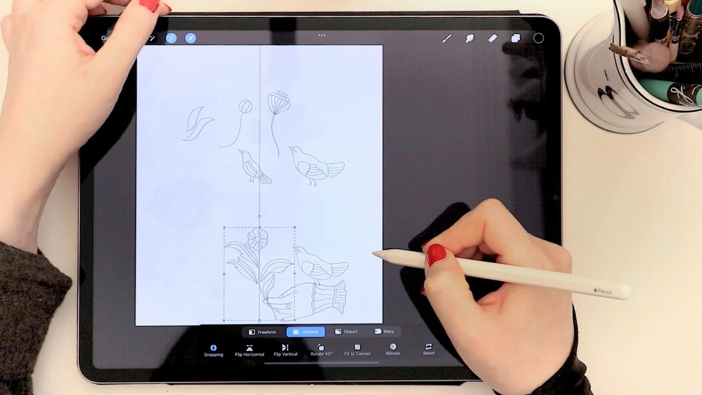 How to Draw Folk Art in Procreate | Molly Suber Thorpe