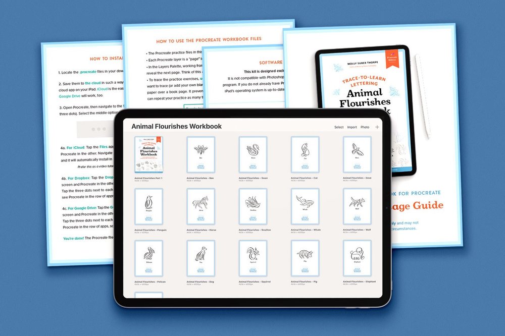 Animal Flourishes Workbook: 15 Calligraphy Flourish Illustrations to ...