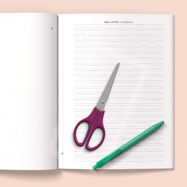 Modern Cursive Handwriting: Step-by-Step Guide and Workbook for Adults ...