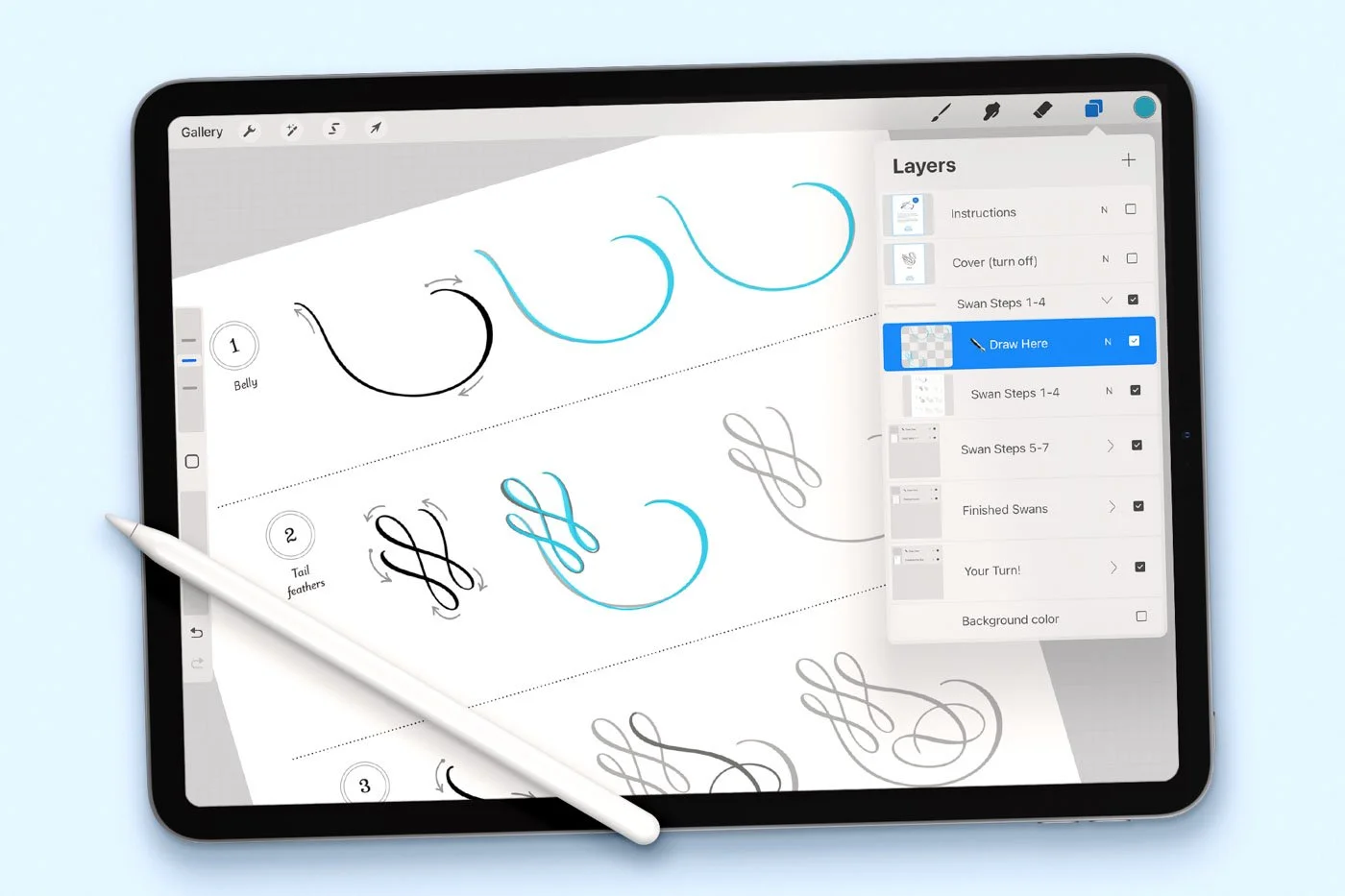 Animal Flourishes Workbook: 15 Calligraphy Flourish Illustrations to ...