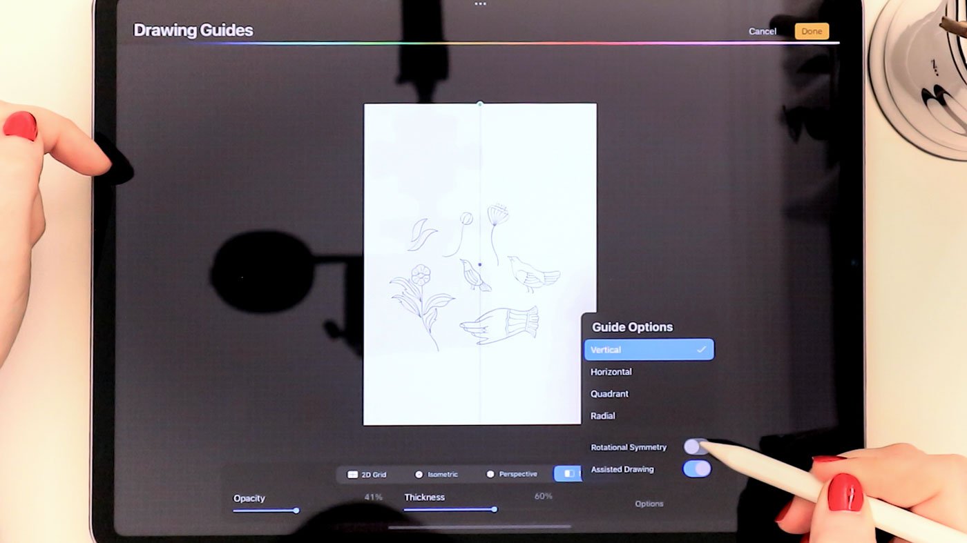 How to Draw Folk Art in Procreate | Molly Suber Thorpe