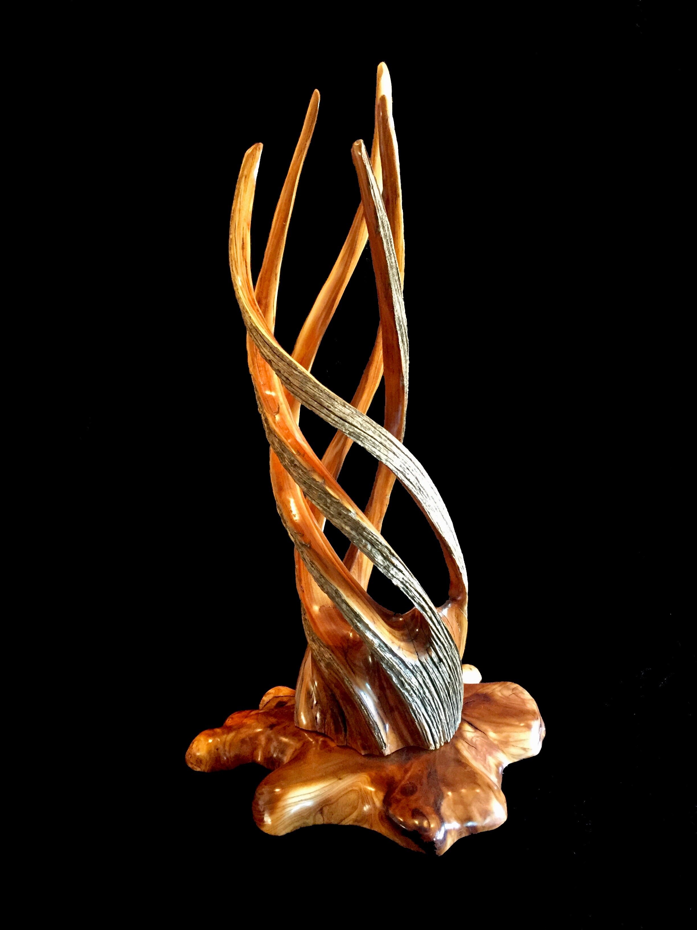Fire Dancer Art