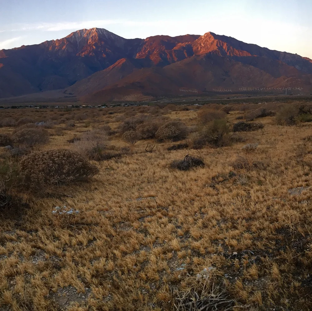 5 for 2015: Five Female Thru-Hikers Blogs to Follow in 2015 — Winter ...