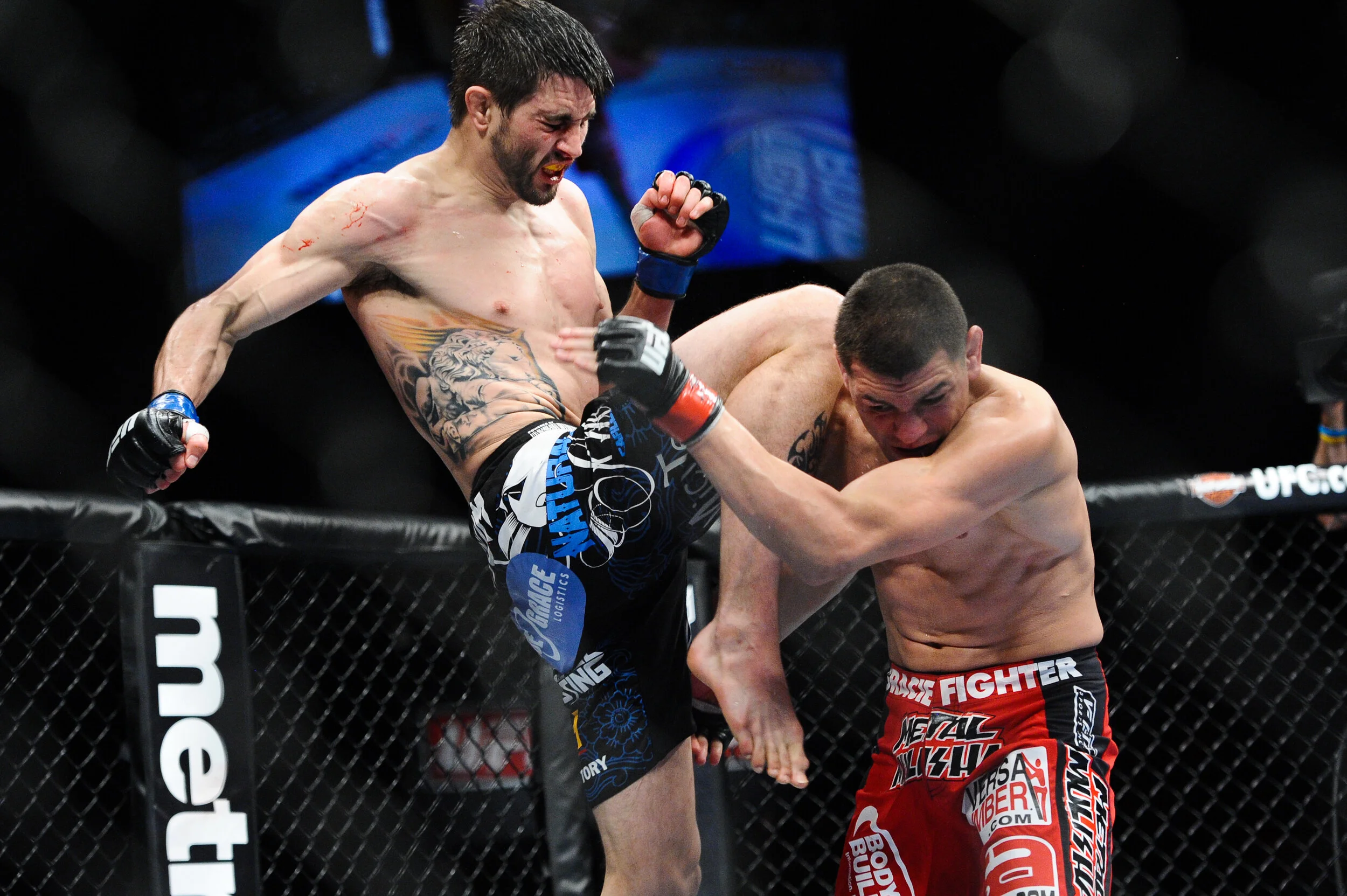 UFC PROJECT — James Law