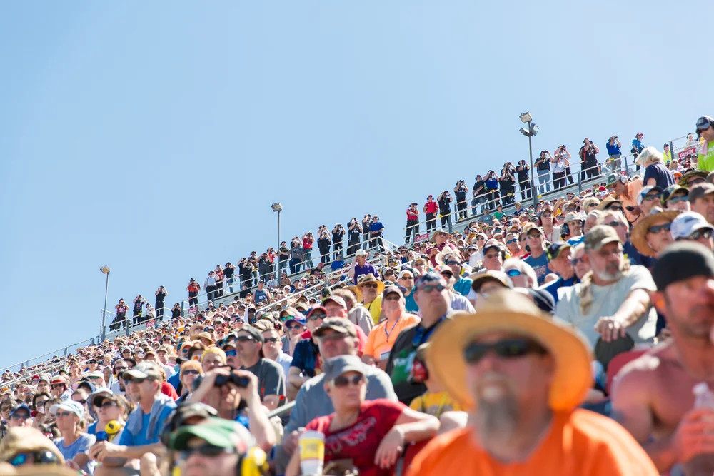 Loud Fast Rules — THE BITTER SOUTHERNER