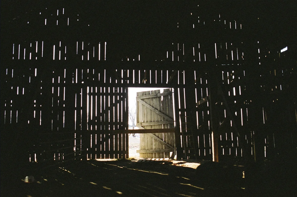 Charlotte Alexander Strode — THE BITTER SOUTHERNER