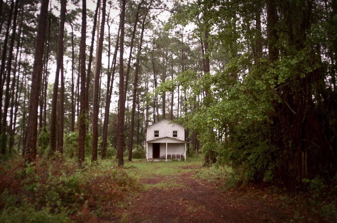 Charlotte Alexander Strode — THE BITTER SOUTHERNER