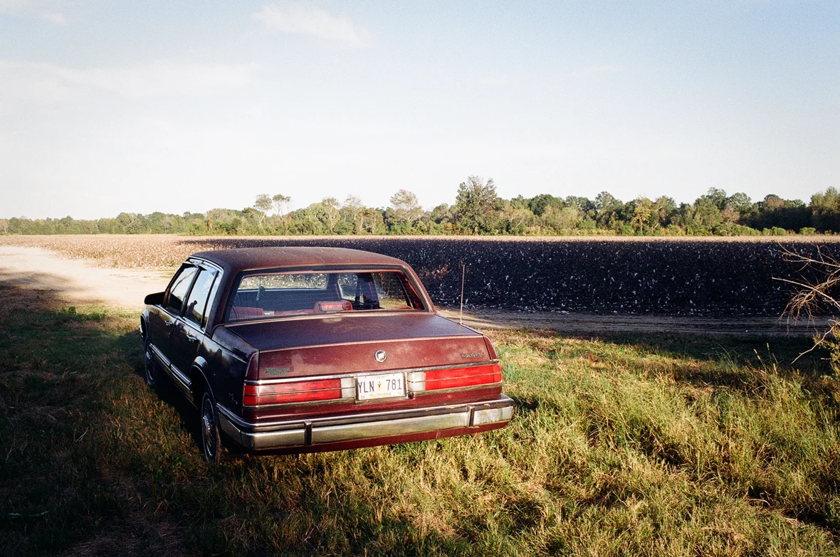 Charlotte Alexander Strode — THE BITTER SOUTHERNER