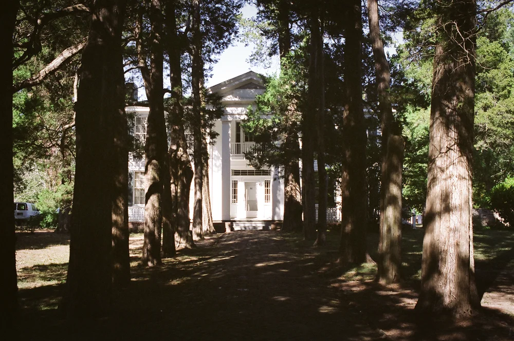 Charlotte Alexander Strode — THE BITTER SOUTHERNER