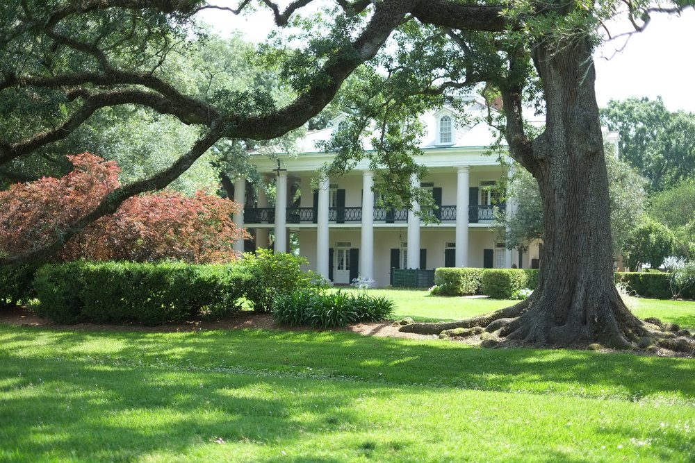 My Southern Education — THE BITTER SOUTHERNER