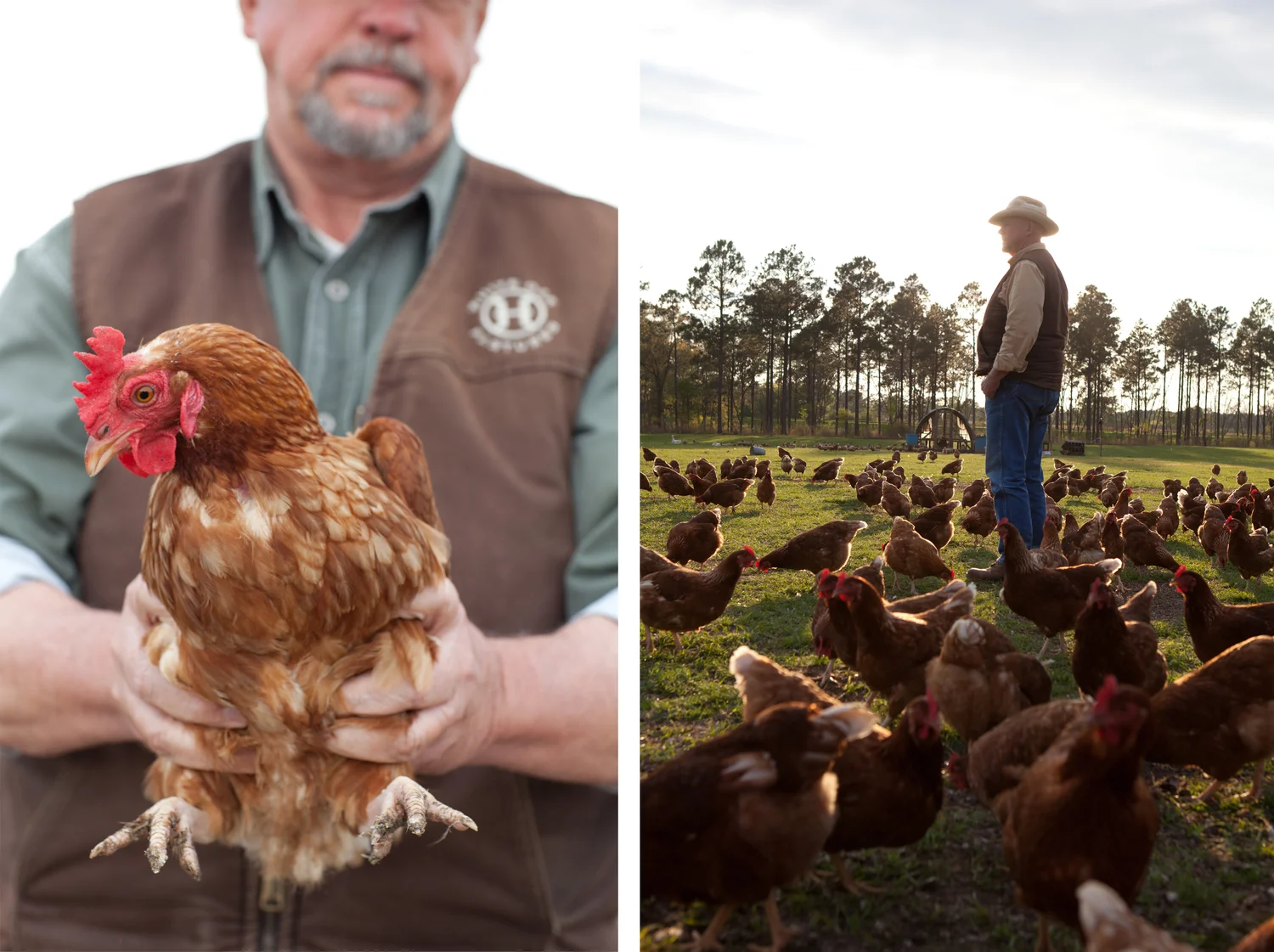 Will Harris & White Oak Pastures Farm: The Dirt Underneath — THE BITTER ...