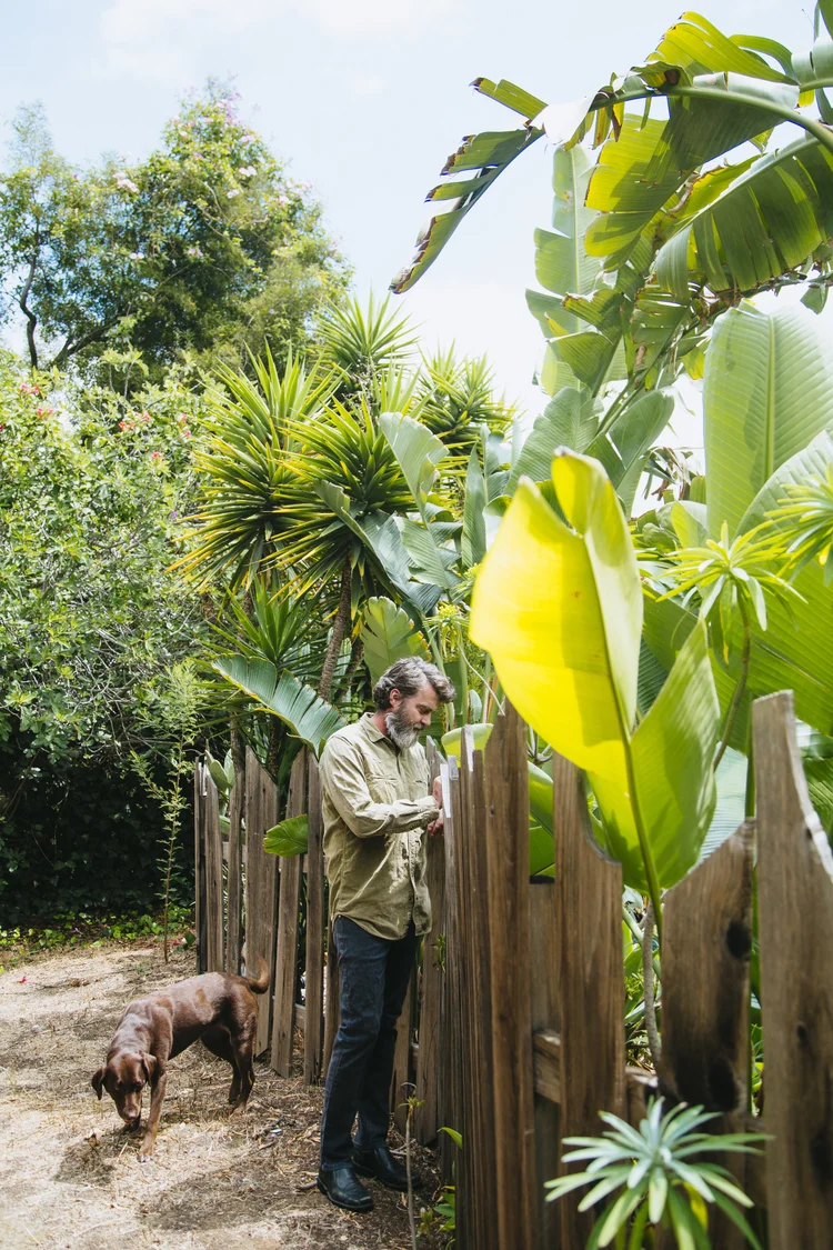 Wayne White — THE BITTER SOUTHERNER