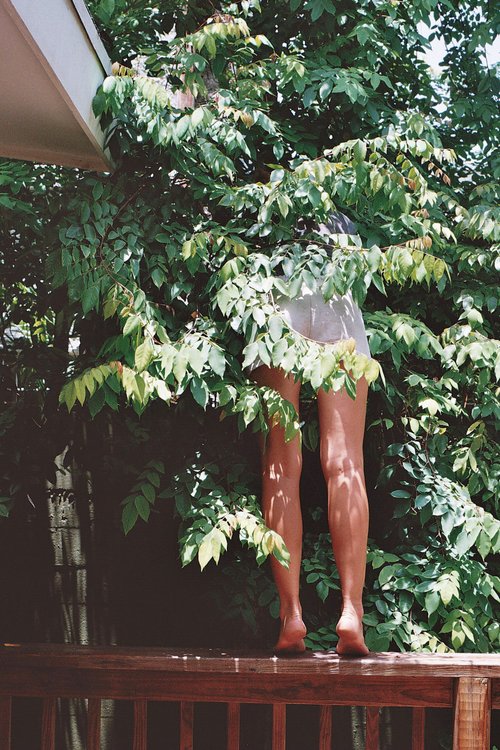 Forager — THE BITTER SOUTHERNER