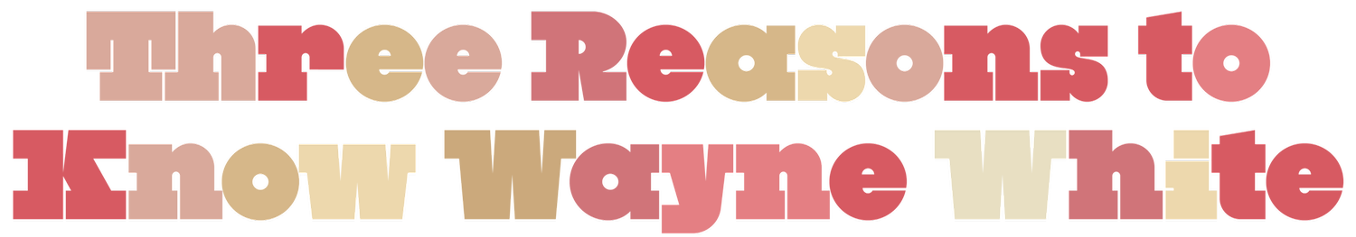 Wayne White — THE BITTER SOUTHERNER