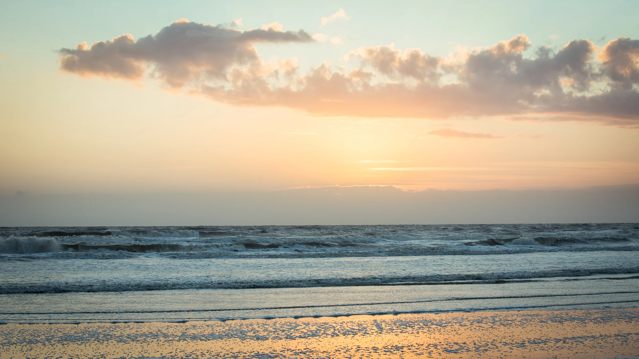 Cumberland Island: Folklore Collection — THE BITTER SOUTHERNER