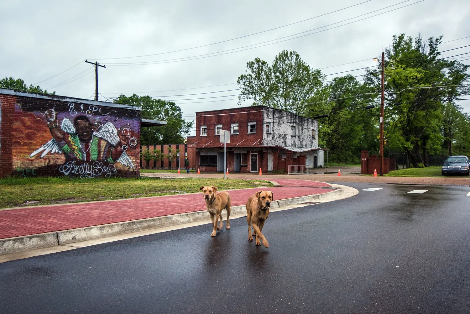 Up All Night on Farish Street, Jackson, Mississippi — THE BITTER SOUTHERNER