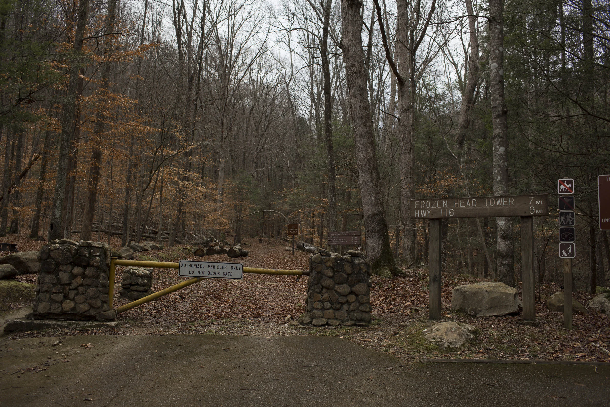 Good Luck, Morons: Lazarus Lake and His Impossible Race — THE BITTER ...