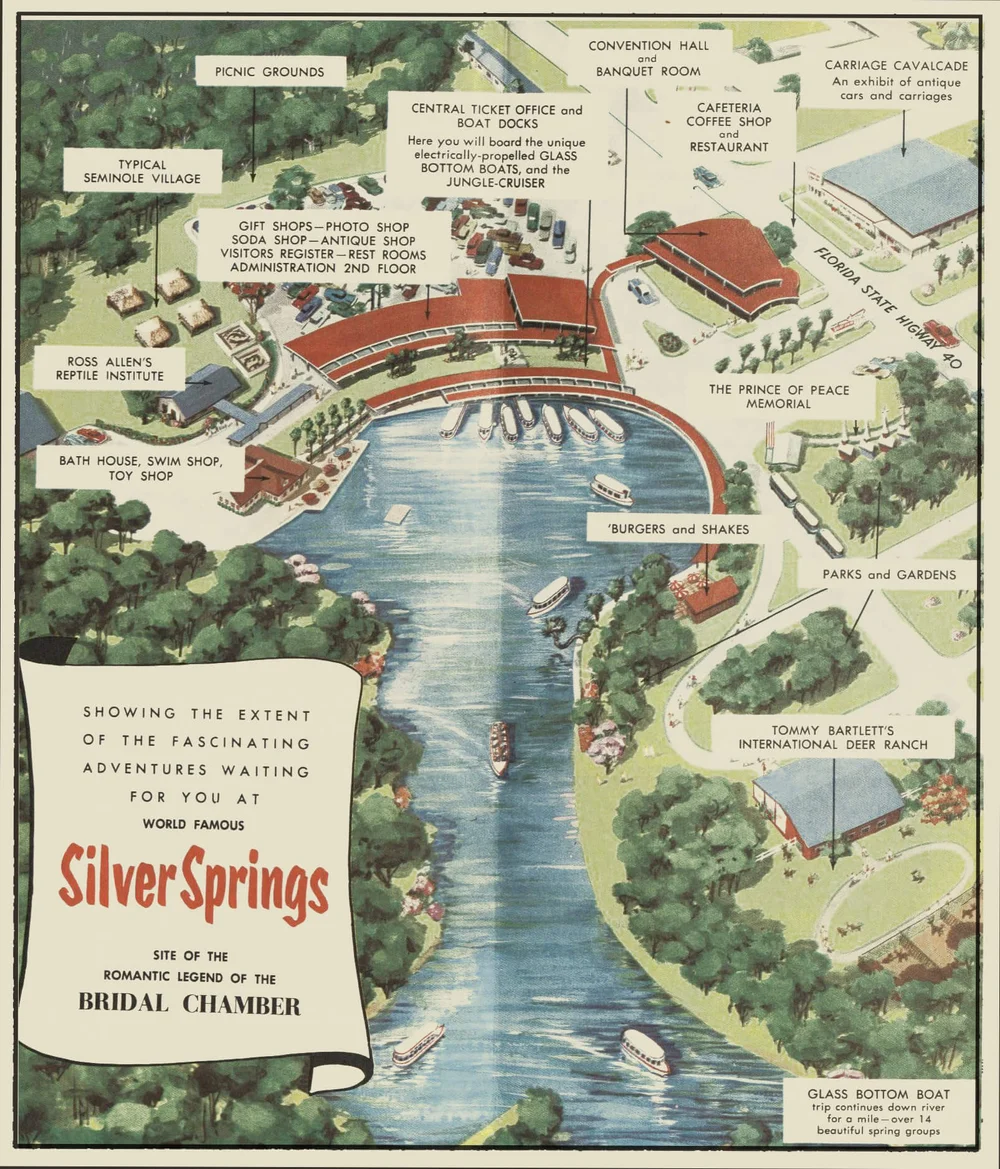 Who Knew Monkeys Could Swim? — THE BITTER SOUTHERNER