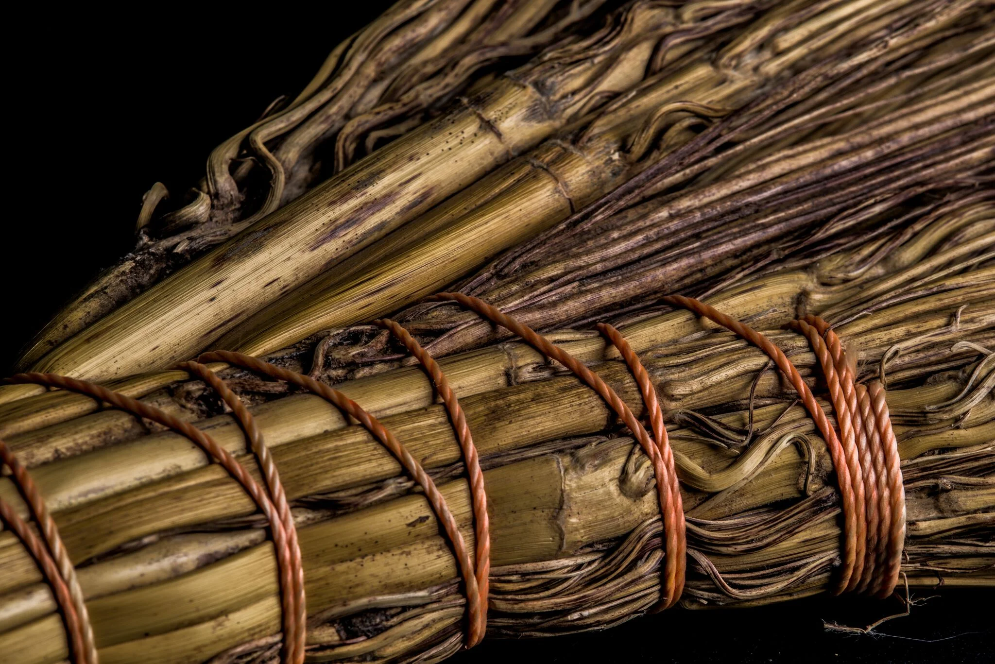 The Broom Prophet — THE BITTER SOUTHERNER