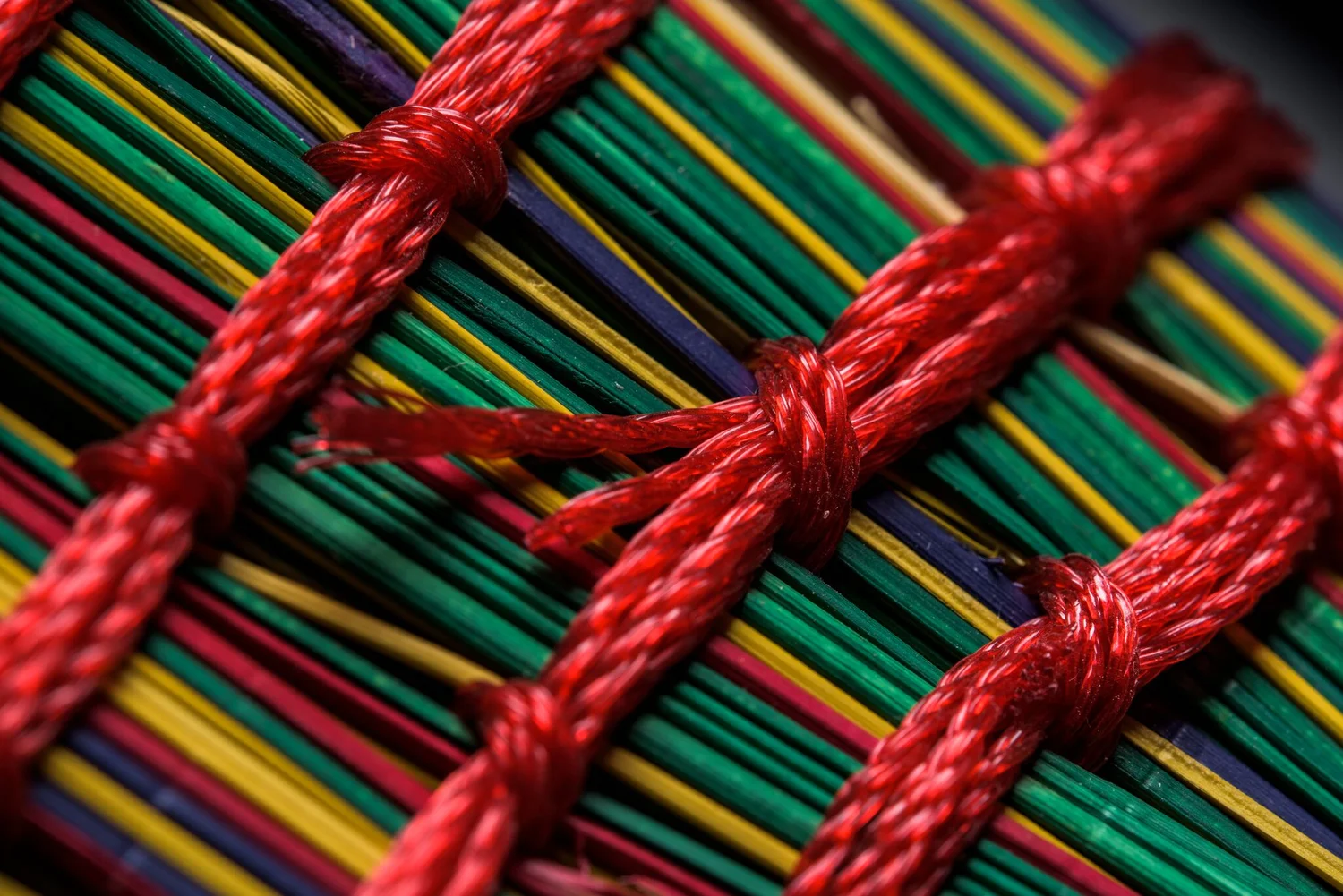 The Broom Prophet — THE BITTER SOUTHERNER