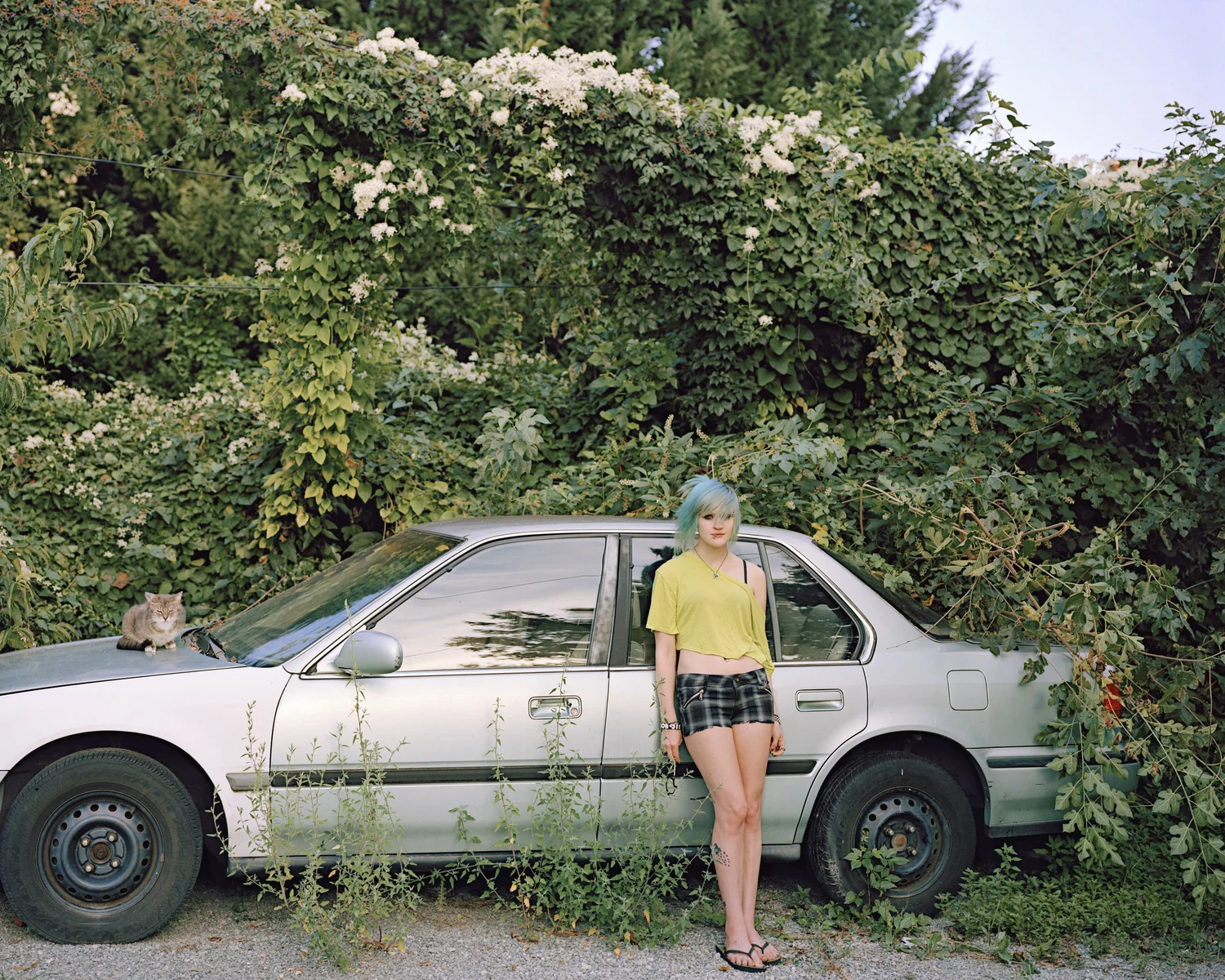 The Southern Photographers of the New Generation — THE BITTER SOUTHERNER