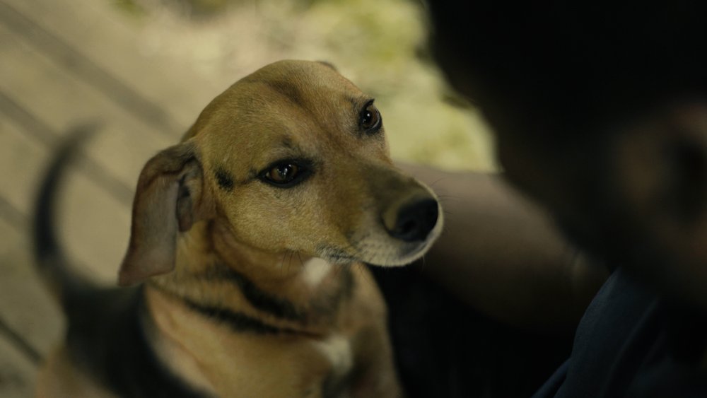 Ray Christian: Why Am I on This Stage? — THE BITTER SOUTHERNER