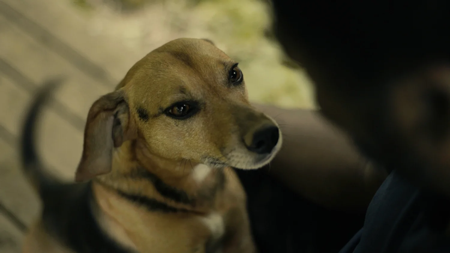 Ray Christian: Why Am I on This Stage? — THE BITTER SOUTHERNER