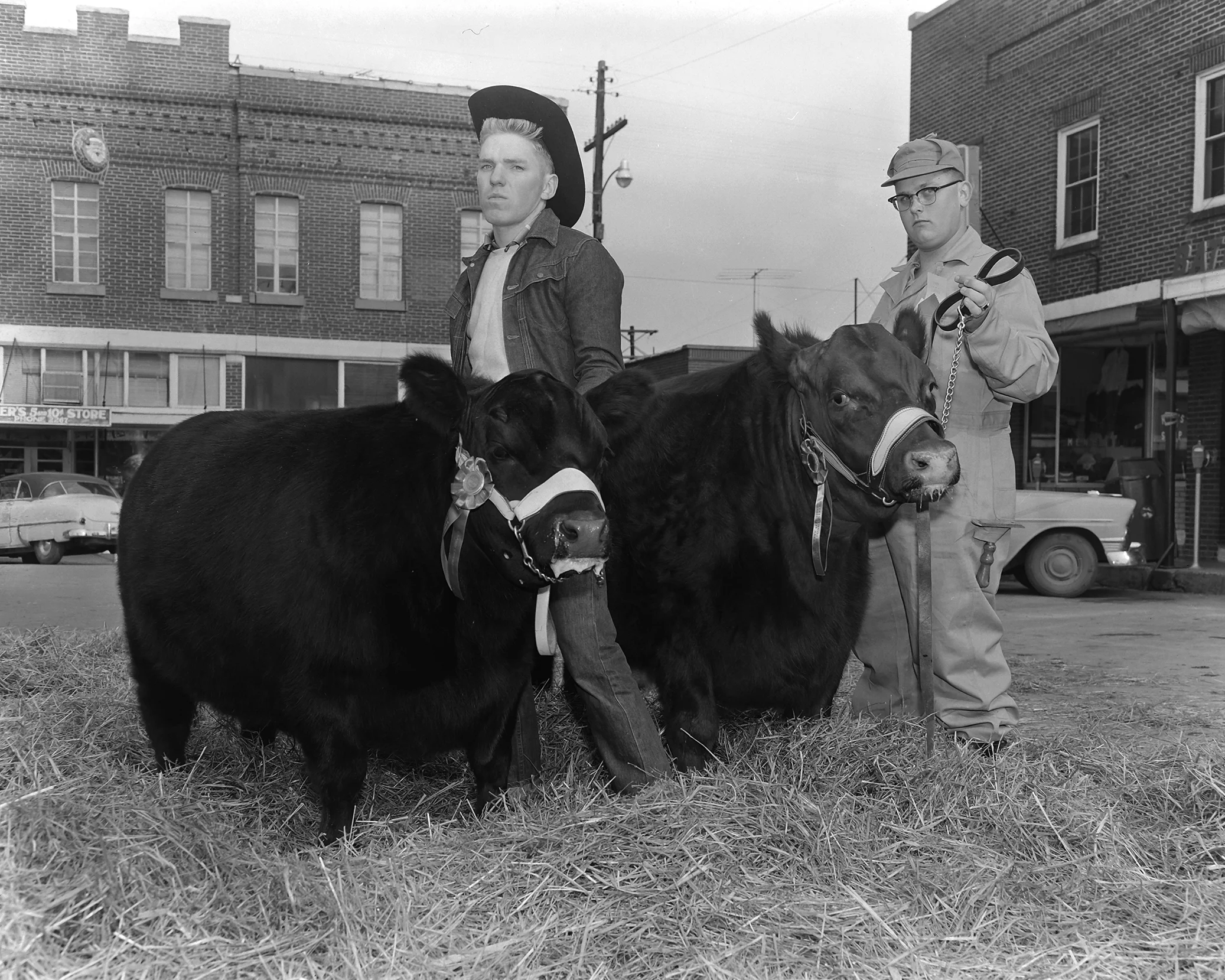 A Little Family Photo Studio — THE BITTER SOUTHERNER