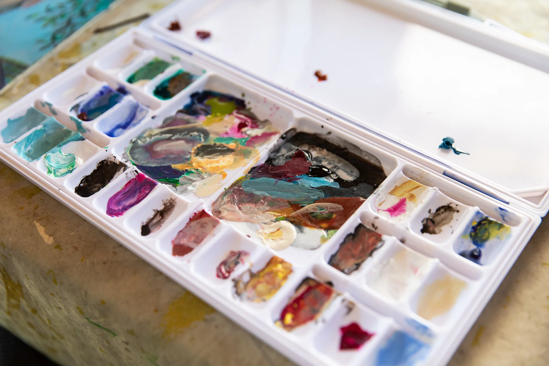 Katherine Sandoz: The Swiss Army Painter — THE BITTER SOUTHERNER
