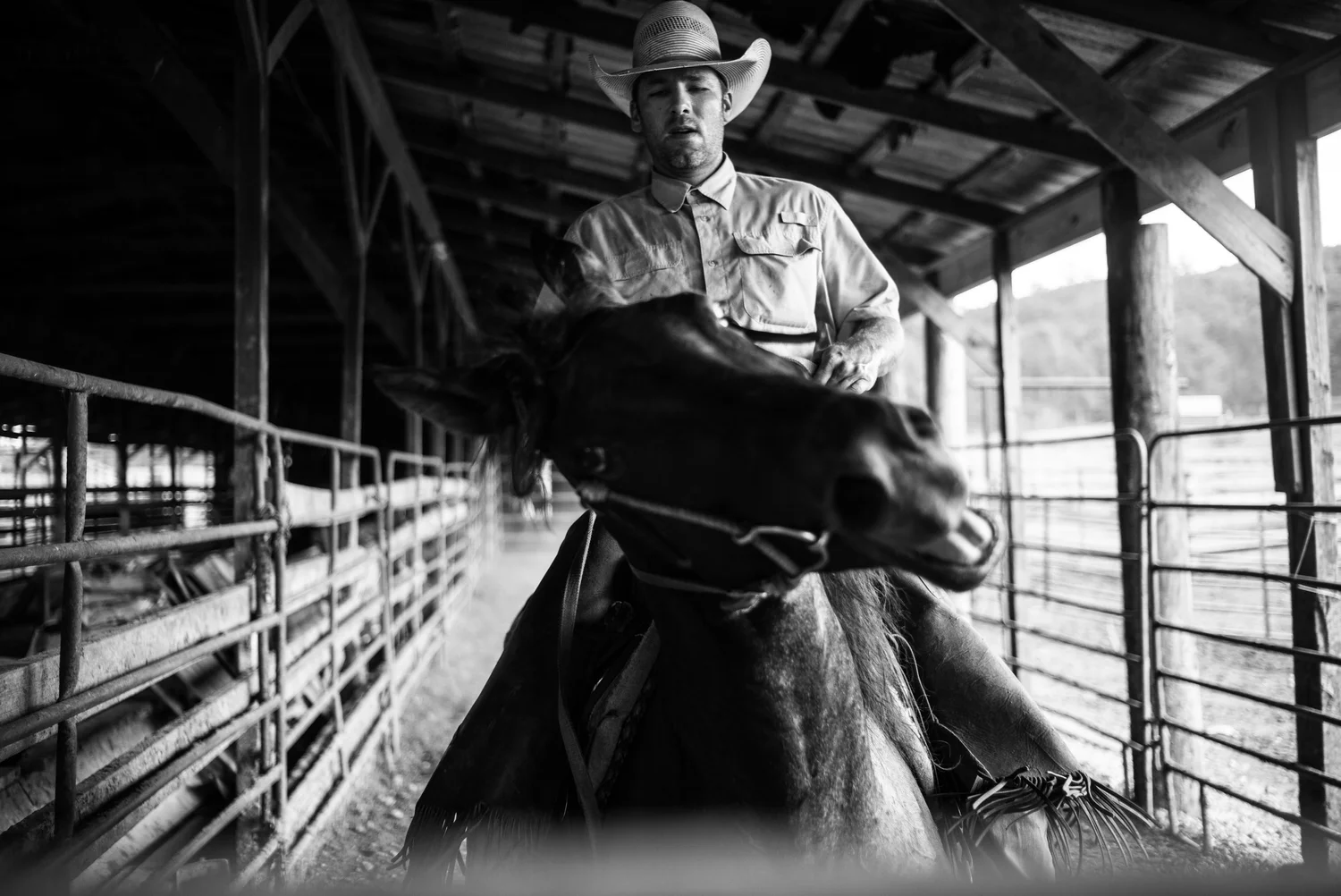 Better Man — THE BITTER SOUTHERNER