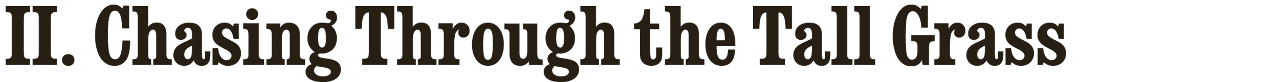 The Sum of Life: Zora Neale Hurston — THE BITTER SOUTHERNER