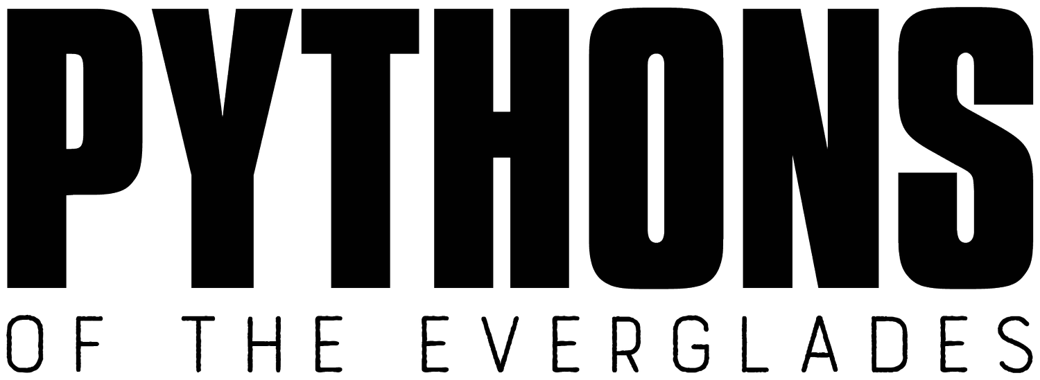 Pythons of the Everglades — THE BITTER SOUTHERNER