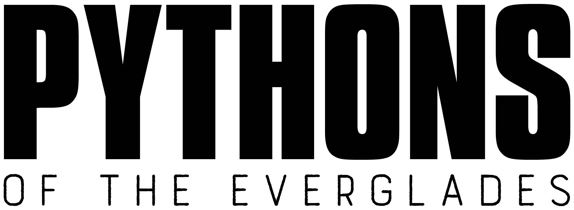 Pythons of the Everglades — THE BITTER SOUTHERNER