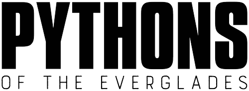 Pythons of the Everglades — THE BITTER SOUTHERNER