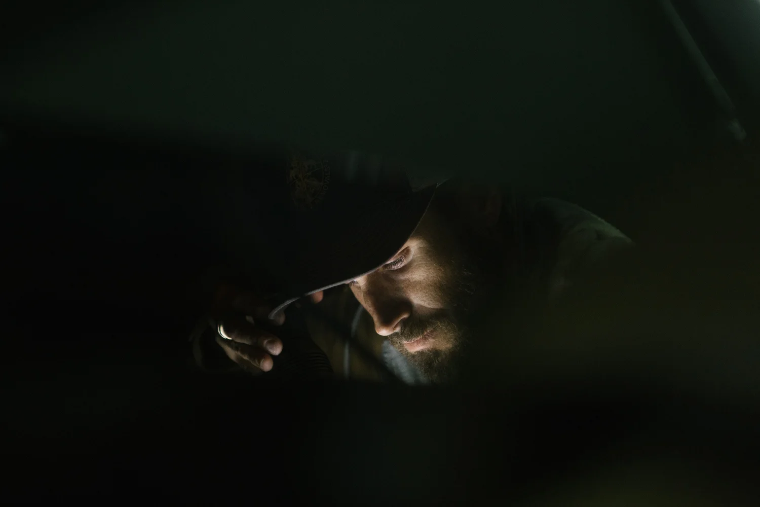 Pythons of the Everglades — THE BITTER SOUTHERNER