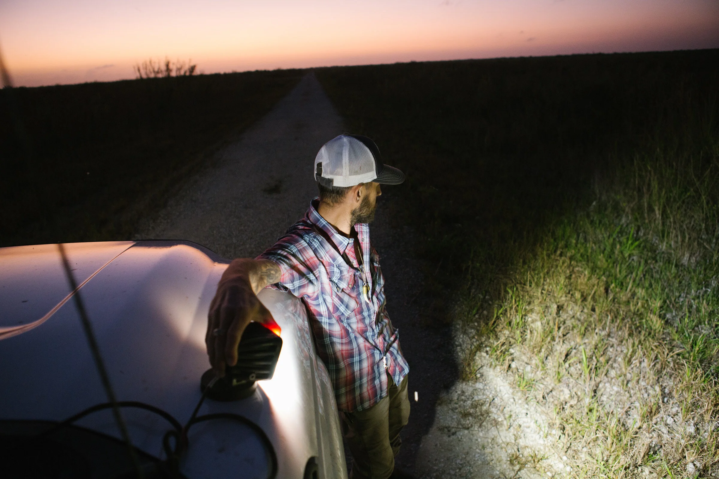 Pythons of the Everglades — THE BITTER SOUTHERNER