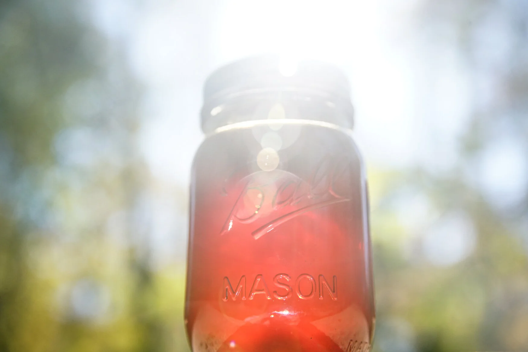 Raising Cane — THE BITTER SOUTHERNER