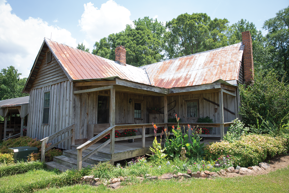 A Letter From Home - Alice Walker — THE BITTER SOUTHERNER