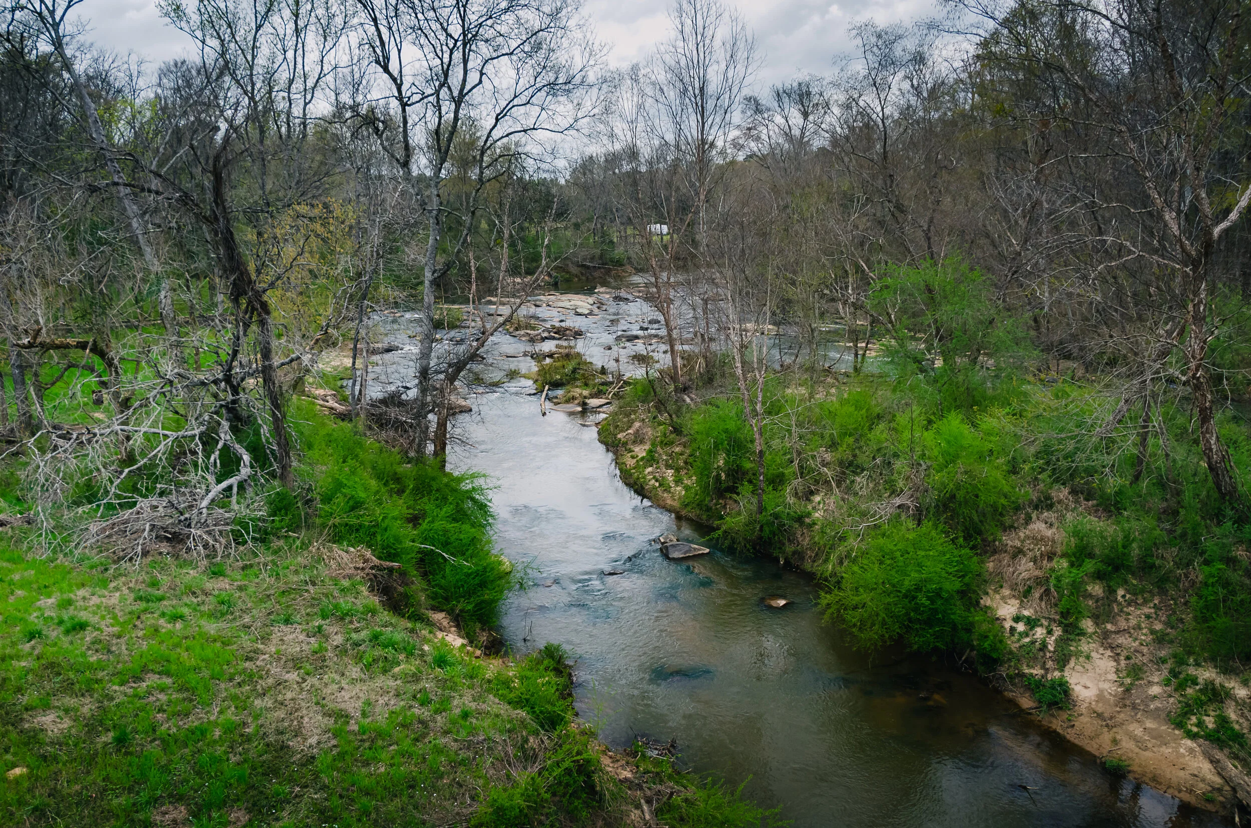 Catfish and the Quarry — THE BITTER SOUTHERNER