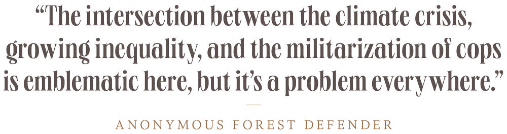 The Forest for the Trees — THE BITTER SOUTHERNER