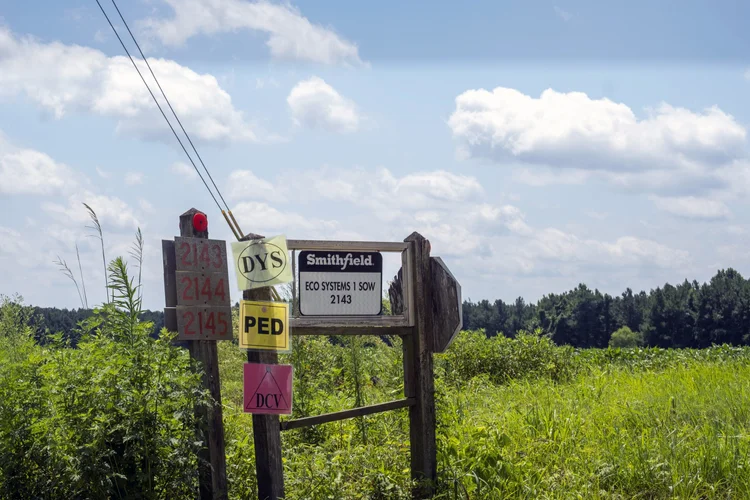 Anything but Green: How Hog Waste and Biogas Is Threatening North ...