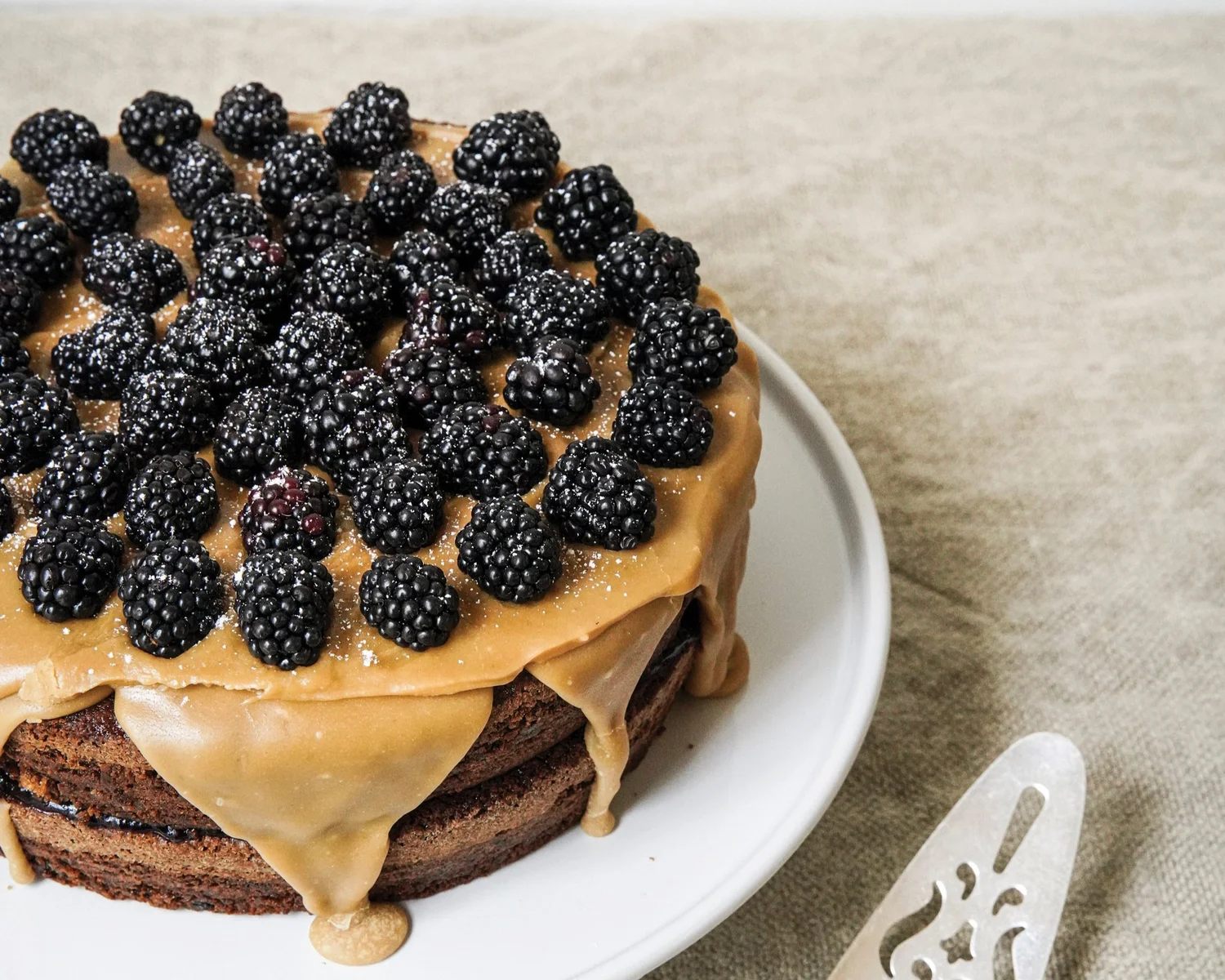 Anne Byrn on Cake — THE BITTER SOUTHERNER