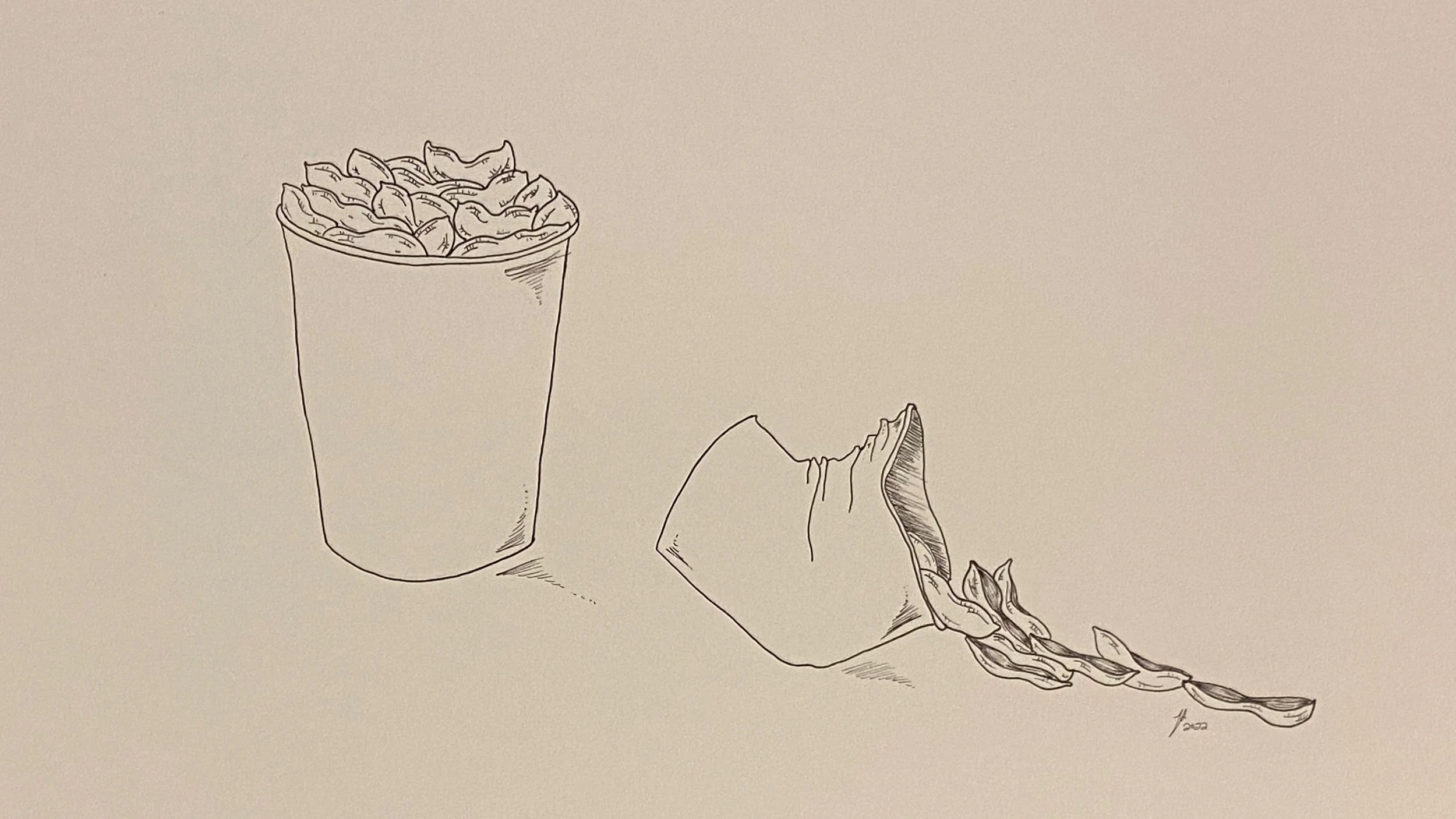 The Global Love of Boiled Peanuts — THE BITTER SOUTHERNER