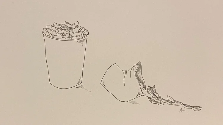 The Global Love of Boiled Peanuts — THE BITTER SOUTHERNER