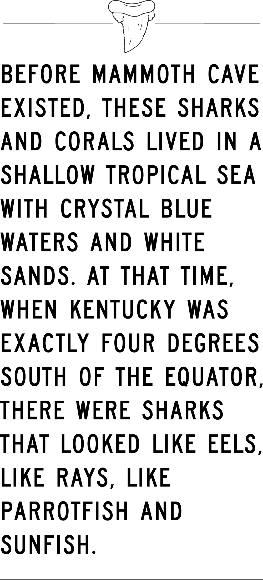 Shark Hunting in Kentucky — THE BITTER SOUTHERNER