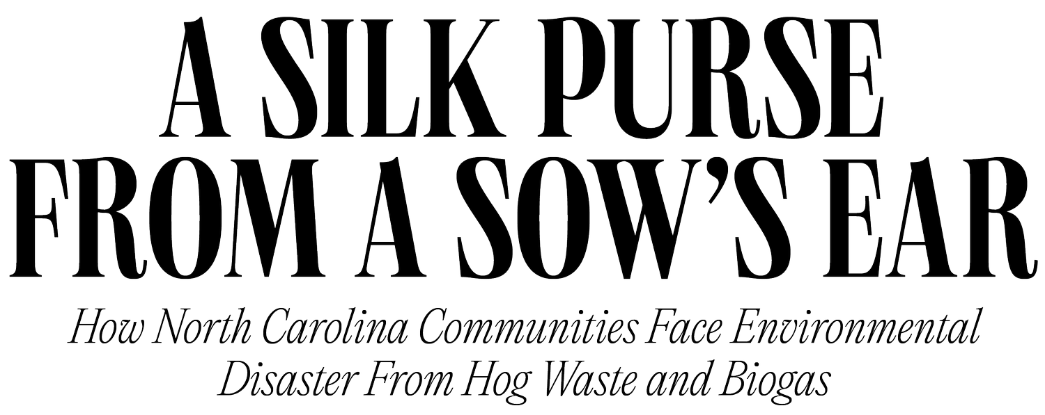 Anything but Green: How Hog Waste and Biogas Is Threatening North ...