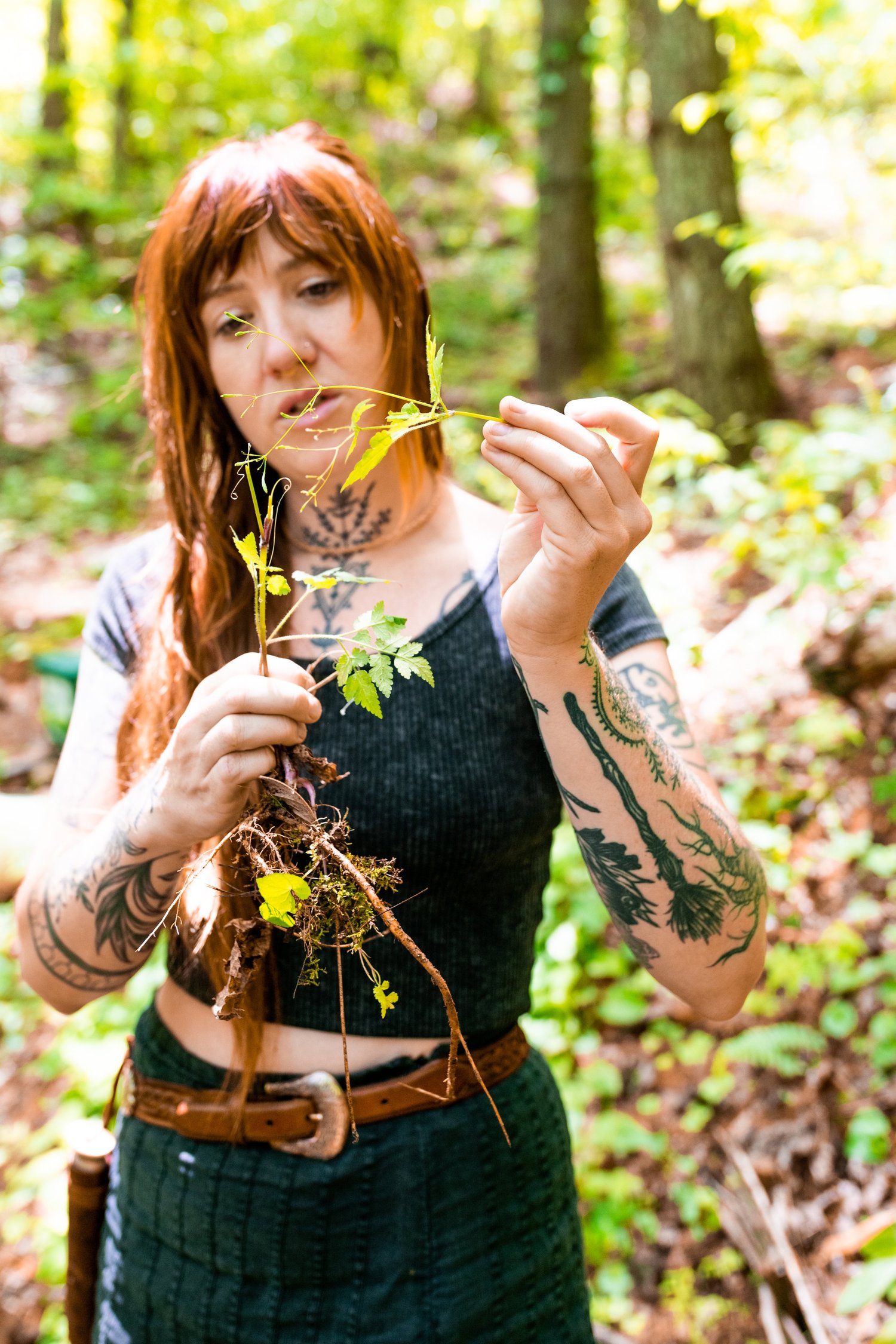 Rebecca Beyer: Long Time Travelin’ — THE BITTER SOUTHERNER