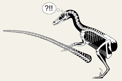 Tails of WoeDr. Scott Hartman's Skeletal Drawing.com
